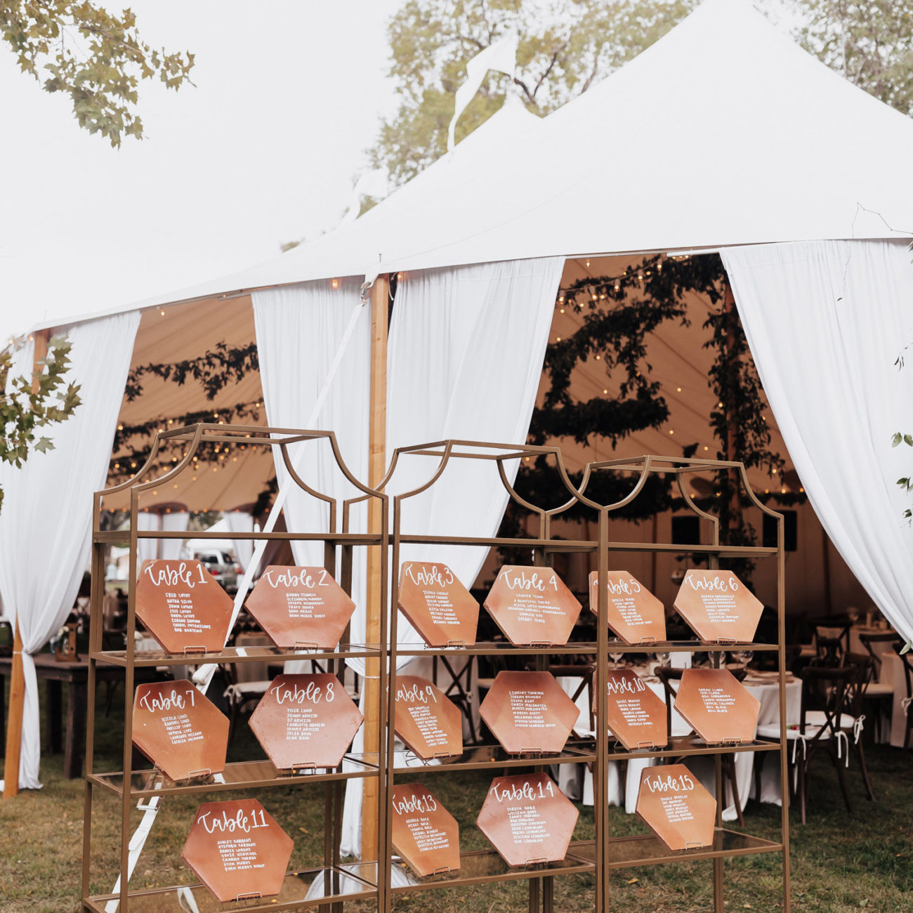 Portfolio - Colorado Party Rentals