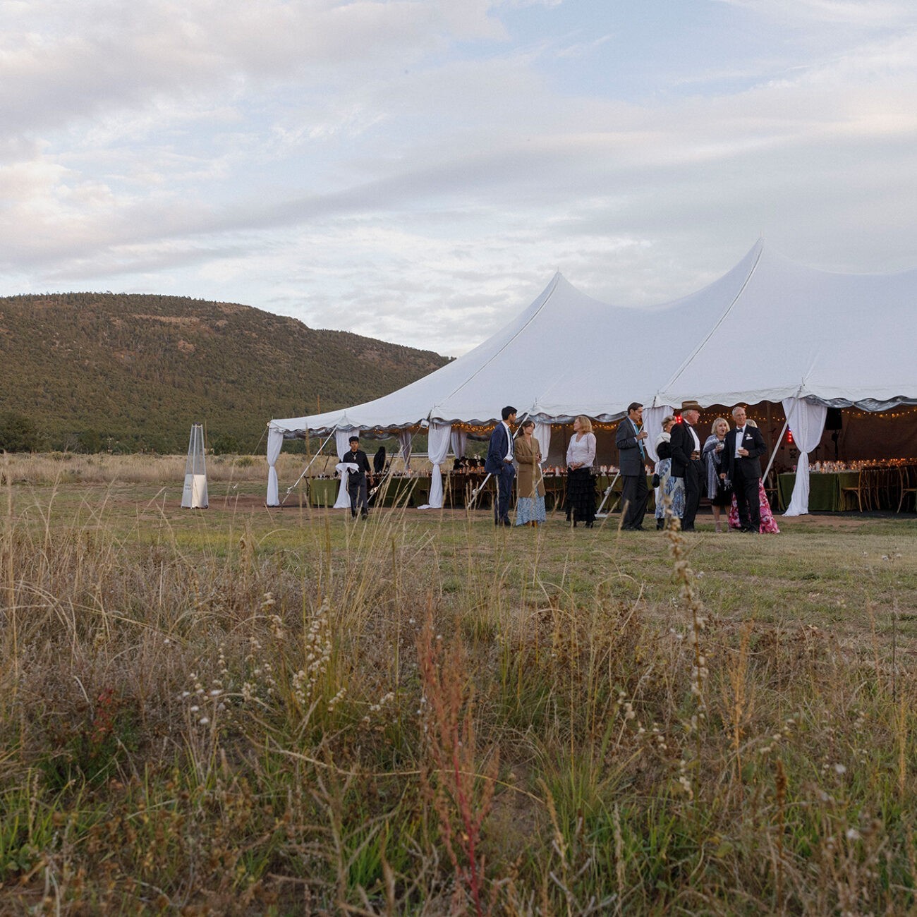 Services - Colorado Party Rentals: Wedding, Event Rentals, & More for ...
